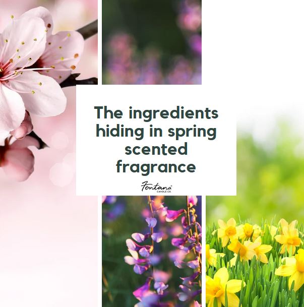 The Ingredients Hiding in Spring Scented Fragrance – Fontana Candle Co