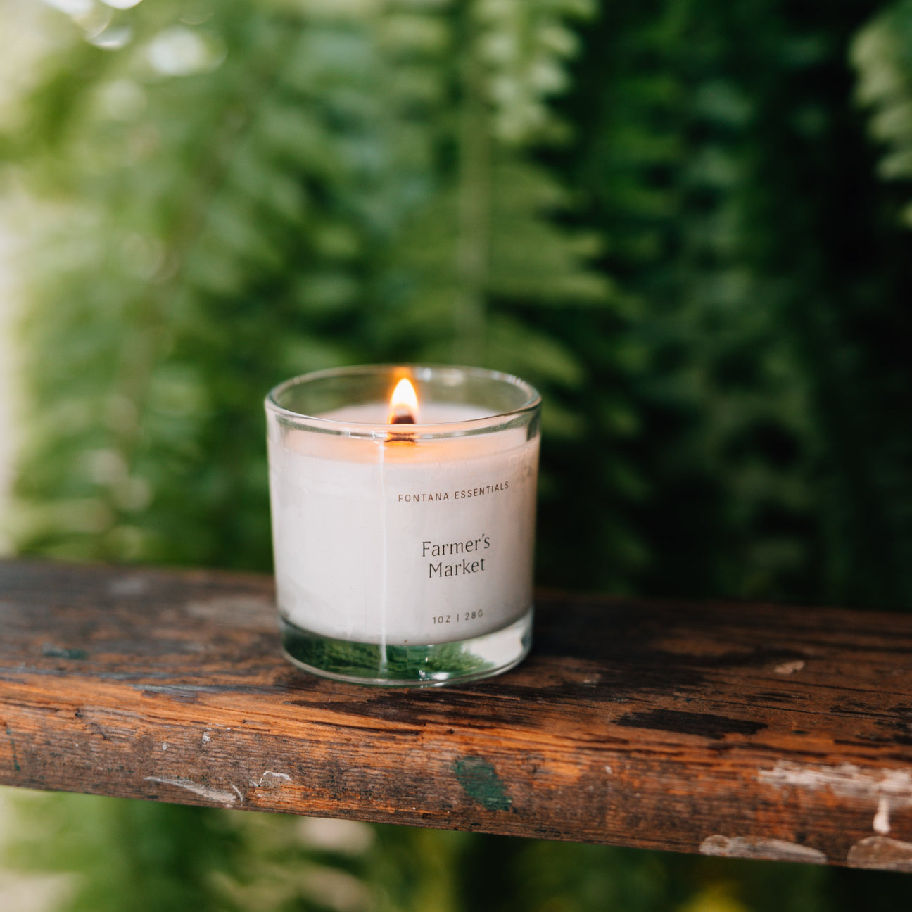 The Mini Candle Collection – Fontana Candle Co